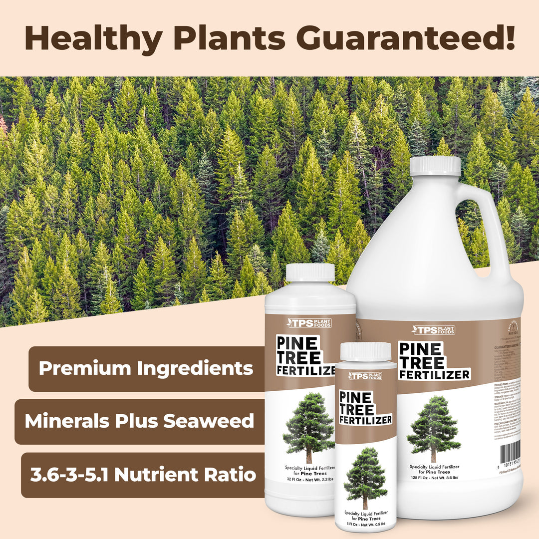 Natural Fertilizer Pine Trees Garden Guides | Natural Fertilizer For