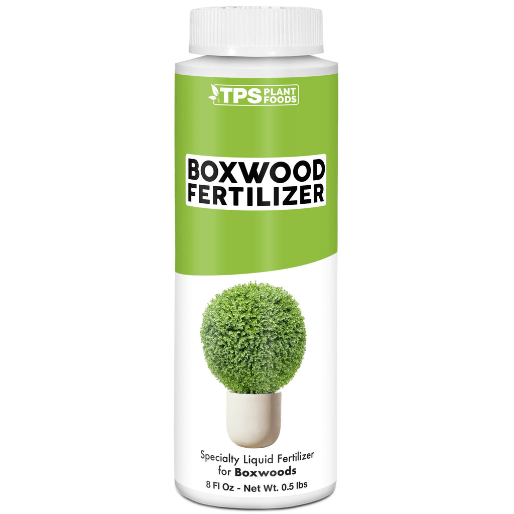 Boxwood Fertilizer
